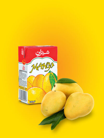Mango Juice Pack – Importer & Distributors of Ethnic Food Products